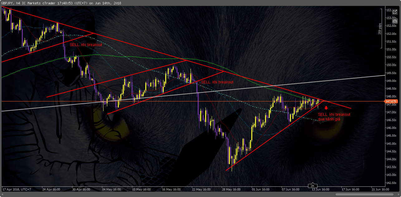 IC Markets GBPJPY | cTrader