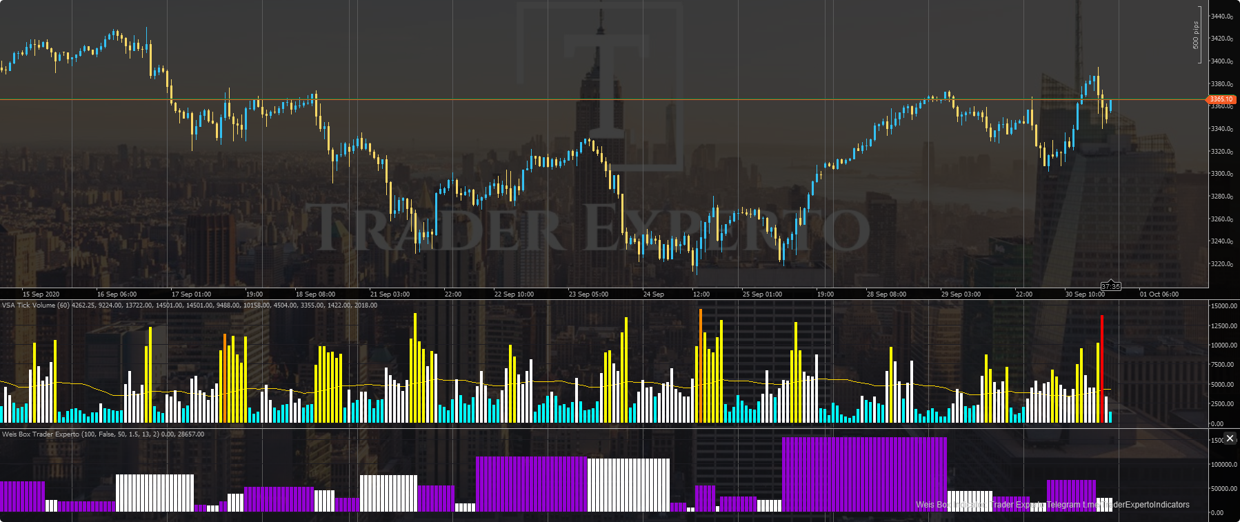 Raw Trading Ltd US500 | cTrader
